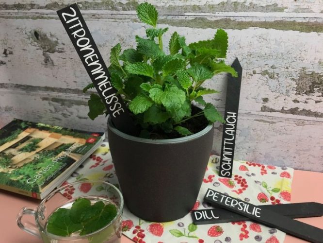 Plotten für Anfänger mit Cricut Maker und kostenloser Datei